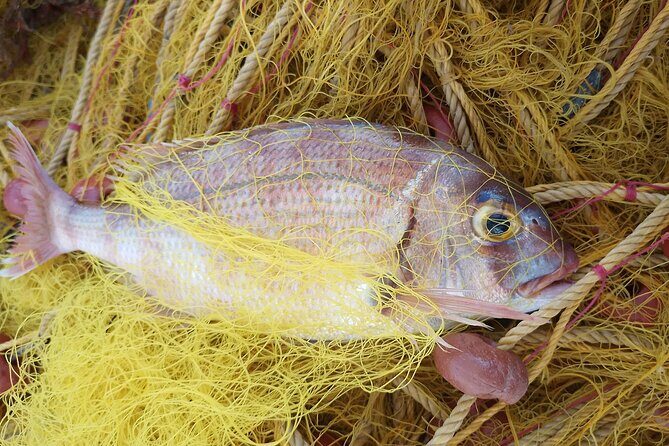 Chania Fishing with Nets Catch and Cook with a Local Fisherman - FAQ