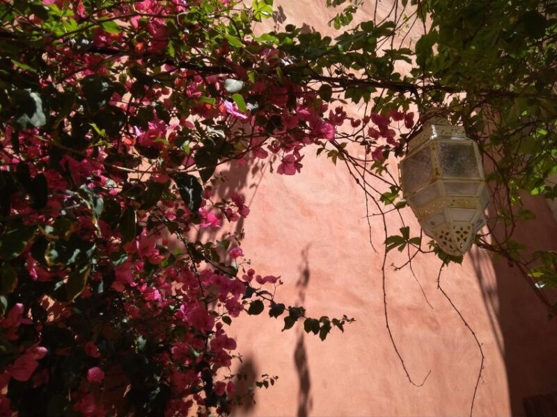 Chania Old Town: Artisans & Sightseeing Walking Tour - An In-Depth Look at the Chania Old Town Tour