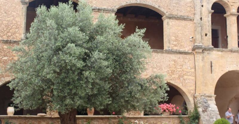 Chania Private Olive Oil Tour: Oil Tasting & Villages Tour - The Complete Experience: Exploring Crete’s Olive Heritage