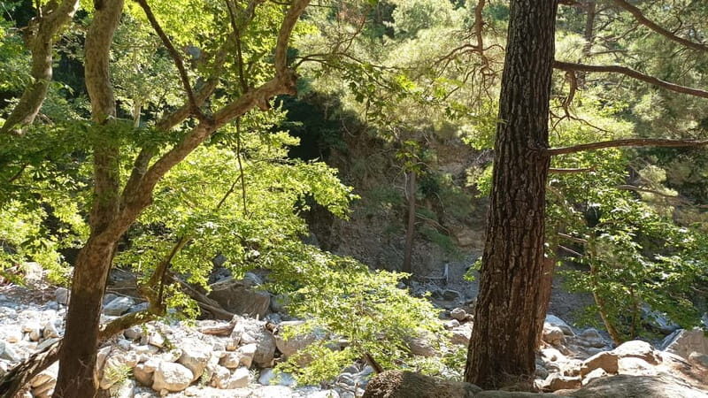 Chania: Samaria Gorge Private Transfer - The Practicalities: What to Expect