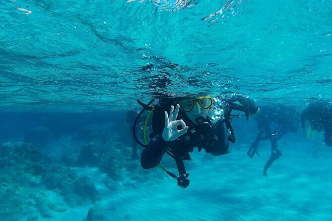 Chania: Scuba Diving for Beginners - An In-Depth Look at the Experience