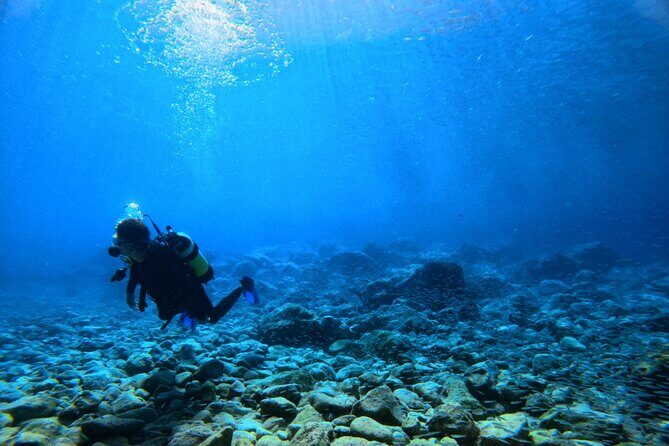 Chania Scuba Diving | Shore Dives | Certified Divers - Why Youll Love This Shore Diving Tour in Crete