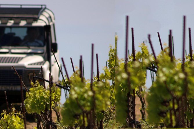 Chania Shore Excursion Off Road Vineyard and Winery Tour Half Day - An In-Depth Look at the Tour