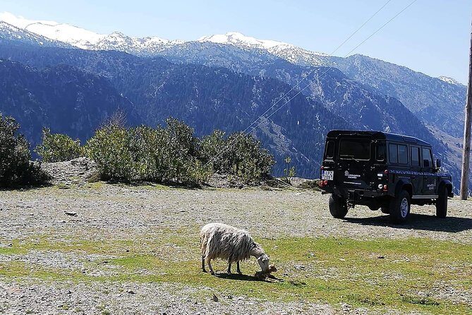 Chania Shore Excursion to the White Mountains - Exploring the Itinerary in Detail
