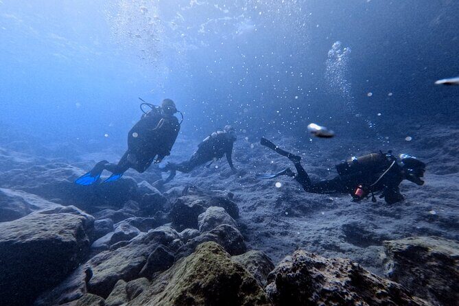 Chania | Try Scuba Diving | Introduction Dive - Introduction to the Chania Try Scuba Diving Experience