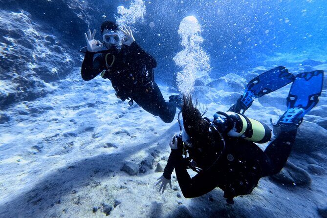 Chania | Try Scuba Diving | Introduction Dive - The Sum Up: Who Will Love This Tour?