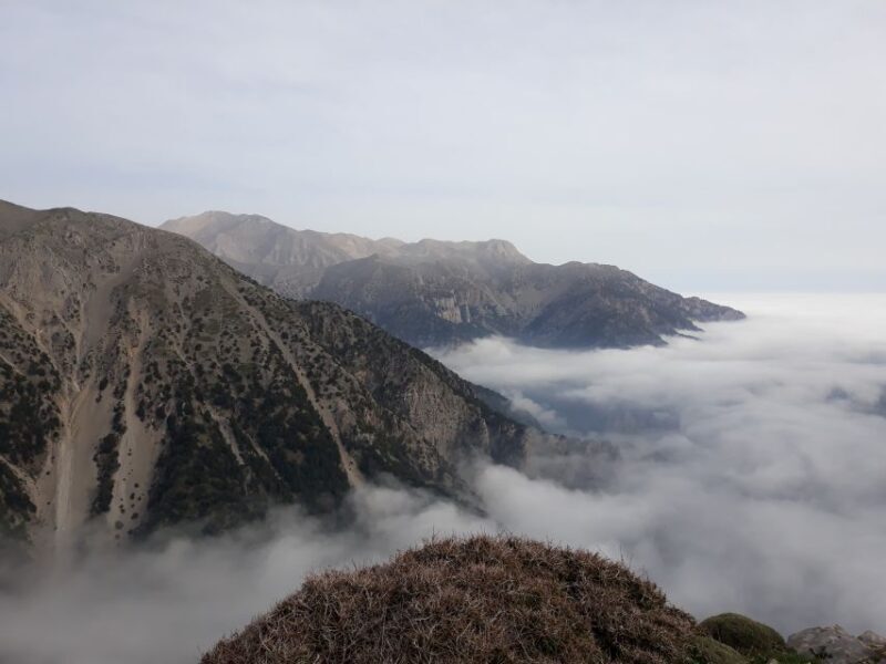 Chania: White Mountains Safari Tour with Lunch and Tastings - Who Will Love This Experience?