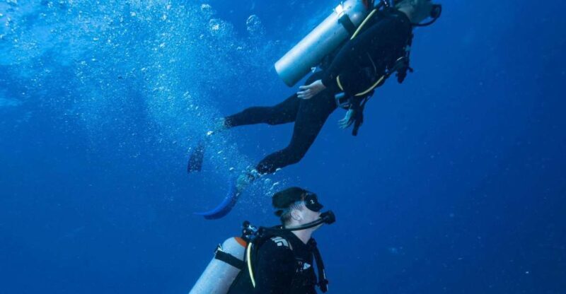 Chania:Try Scuba Diving 2shore dives(Receive Certification) - Key Points  