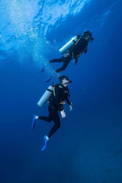 Chania:Try Scuba Diving 2shore dives(Receive Certification) - What Makes the Shore Dives Special?  