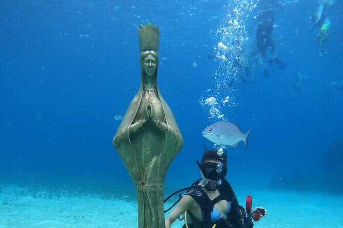 Chankanaab Park Admission +Snorkeling + Lunch included - Key Points