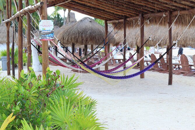 Chankanaab Park Admission +Snorkeling + Lunch included - Real Traveler Insights and Honest Feedback