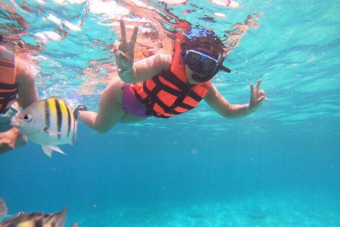 Chankanaab Park Admission +Snorkeling + Lunch included - In The Sum Up