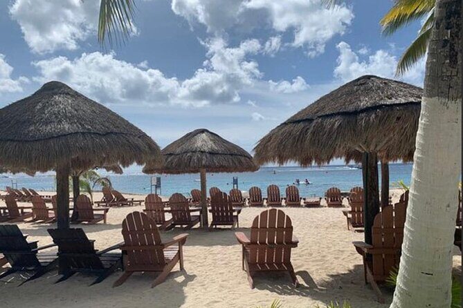 Chankanaab Park Admission + Welcome drink + Snorkeling - The Pros and Cons