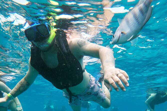 Chankanaab Park Admission + Welcome drink + Snorkeling - Final Thoughts