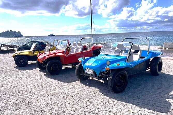 Chankanaab Park and Island Tour by Buggy with Mexican Lunch - A Close Look at the Itinerary