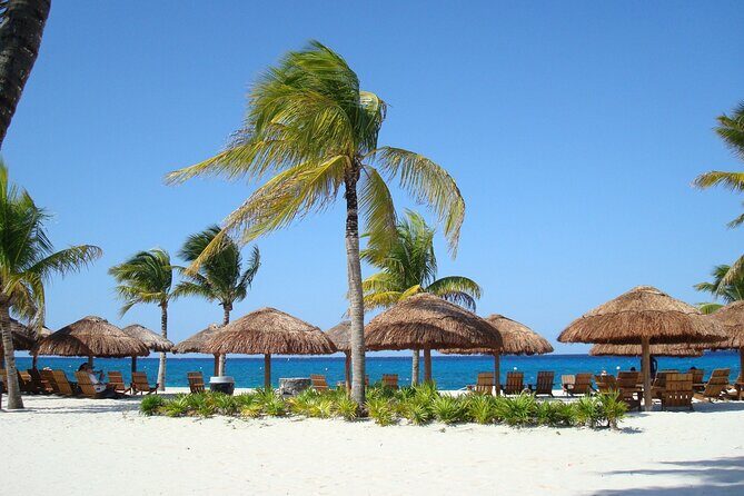 Chankanaab Park and Island Tour by Buggy with Mexican Lunch - Practical Details That Matter