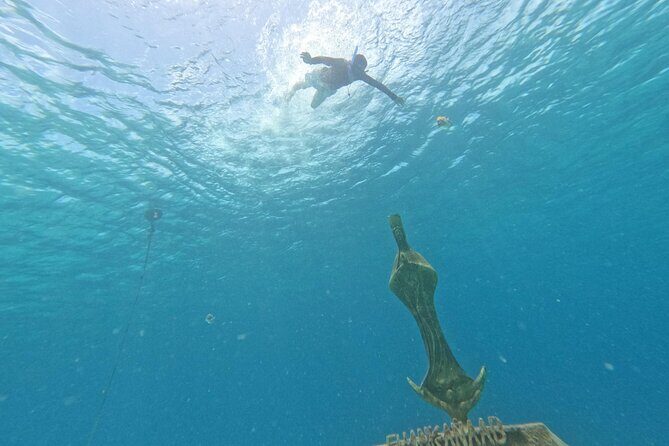 Chankanaab Park entrance ticket with snorkeling and buffet included - Key Points