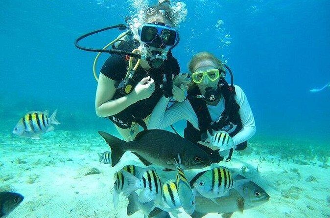 Chankanaab Park Plus Discovery Scuba Dive with Lunch - Final Thoughts