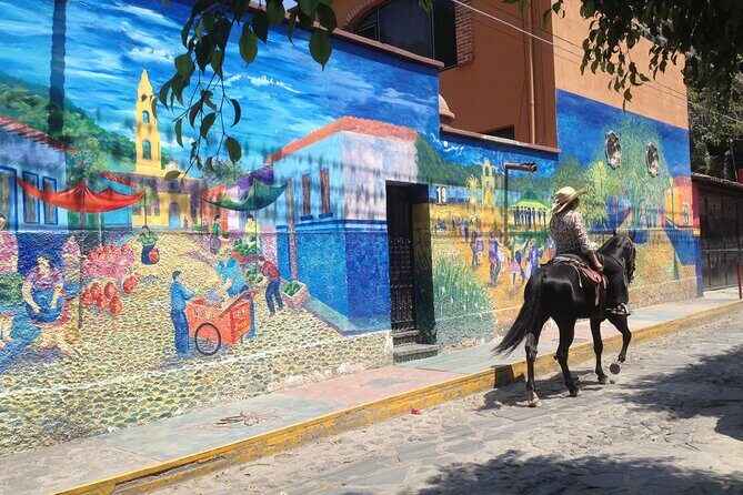 Chapala and Ajijic Private Full-Day Tour - What Makes This Tour Special?
