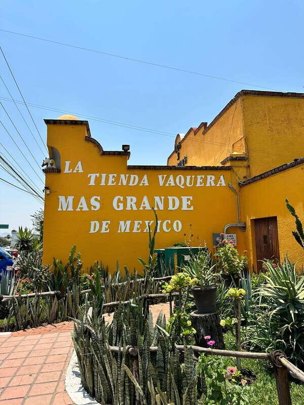 Chapala and Ajijic Tour from Guadalajara with 3 Potrillos - What We Love About This Tour