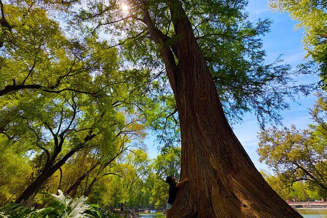 Chapultepec Castle & forest: History, Nature, and Hidden Secrets - Authentic Experiences and Reviewer Insights
