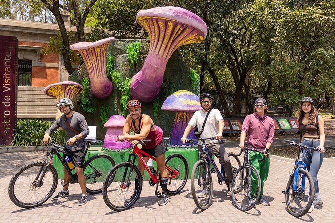 Chapultepec Castle or Anthropology Museum bike tour - Exploring Mexico City on Two Wheels: The Ultimate Review