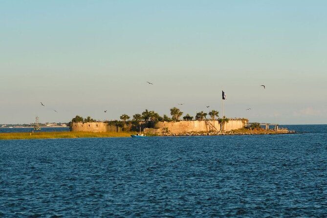 Charleston Dolphin Cruise Scenic Harbor Adventure - Comfort & Onboard Experience