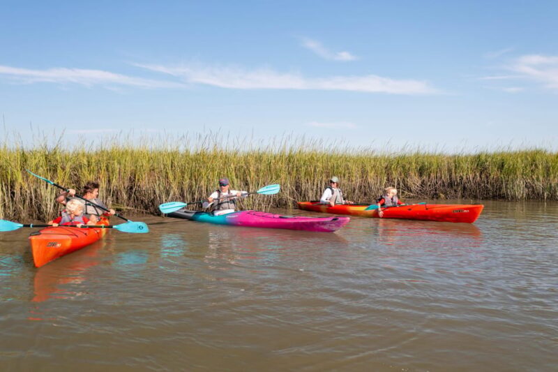 Charleston: Folly Beach Morning Kayak Dolphin Safari - Price and Value