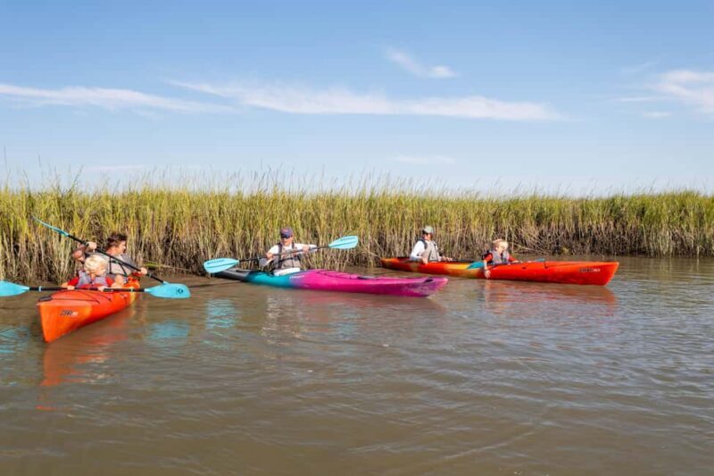 Charleston: Folly River Sunset Kayak Dolphin Safari - What to Expect During the Tour