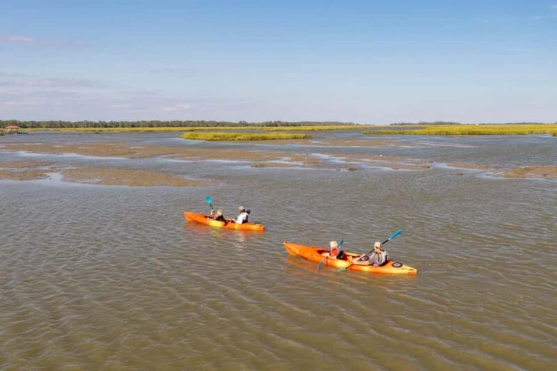 Charleston: Folly River Sunset Kayak Dolphin Safari - Practical Tips for Your Kayaking Adventure