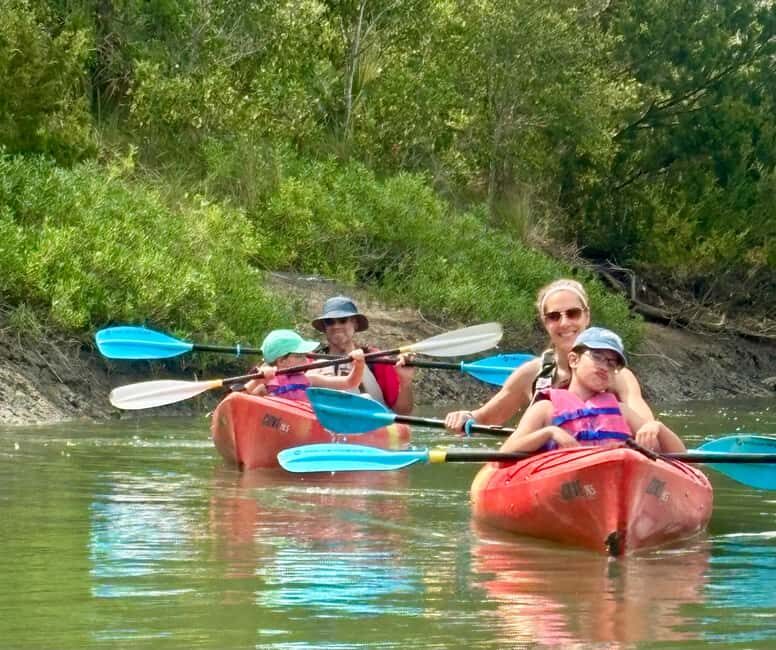 Charleston: Folly River Sunset Kayak Dolphin Safari - Frequently Asked Questions