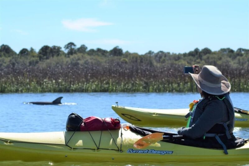 Charleston: Guided 2hr. Kayak Tour with a Tandem or Single - An In-Depth Look at the Kayak Tour Experience