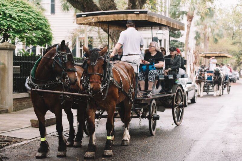 Charleston: Haunted Horse-Drawn Carriage Evening Tour - The Value and Practicalities