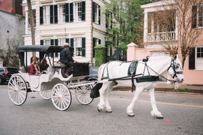 Charleston, SC: Private Daytime Horse-Drawn Carriage Ride - Charleston, SC: Private Daytime Horse-Drawn Carriage Ride