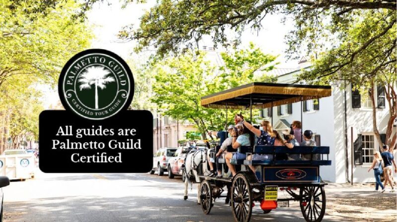 Charleston, SC: Private Daytime Horse-Drawn Carriage Ride - Value and Practicalities