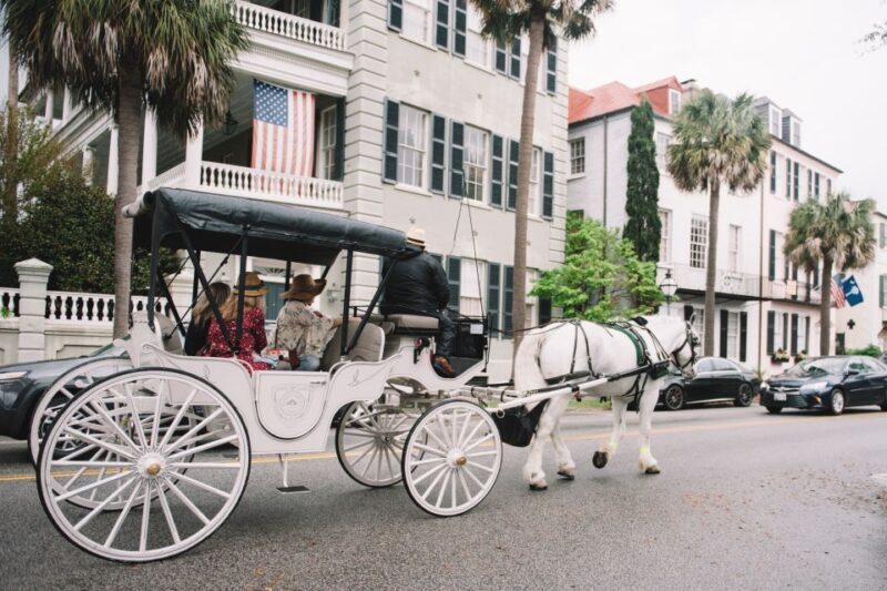Charleston, SC: Private Daytime Horse-Drawn Carriage Ride - The Sum Up