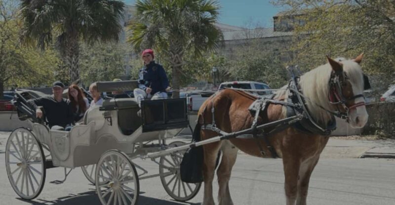 Charleston, SC: Private Evening Horse & Carriage Tour - Charleston, SC: Private Evening Horse & Carriage Tour