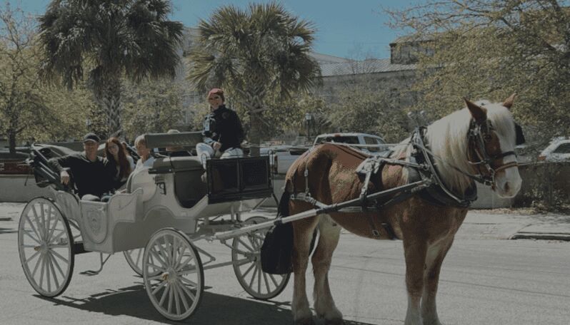 Charleston, SC: Private Evening Horse & Carriage Tour - Key Points