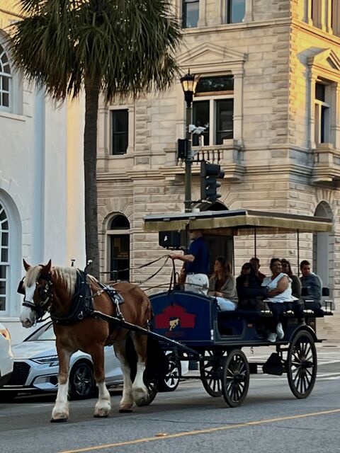 Charleston, SC: Private Evening Horse & Carriage Tour - The Sum Up