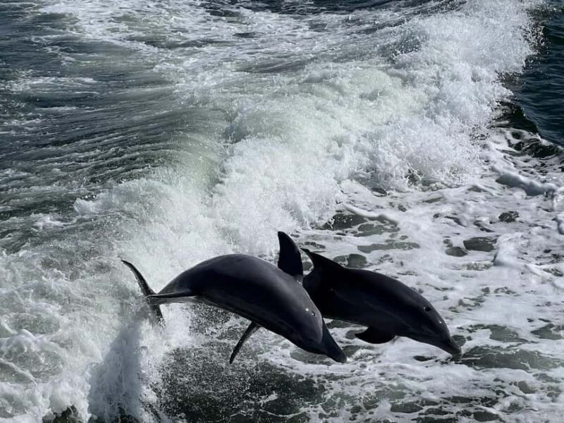 Charlotte Harbor: "The Oasis" Tiki Boat Sunset Cruise - A Detailed Look at the Tiki Boat Sunset Cruise
