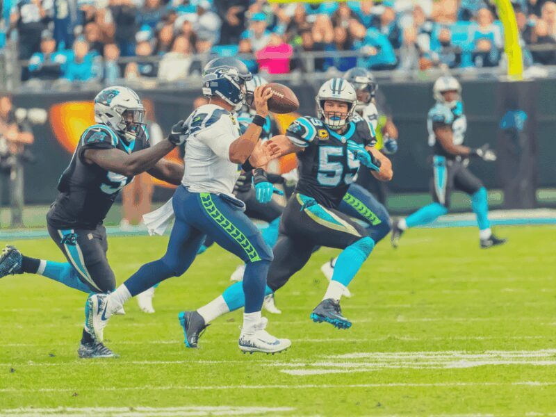 Charlotte: Panthers Football Game at Bank of America Stadium - Why Attend a Panthers Game at Bank of America Stadium?