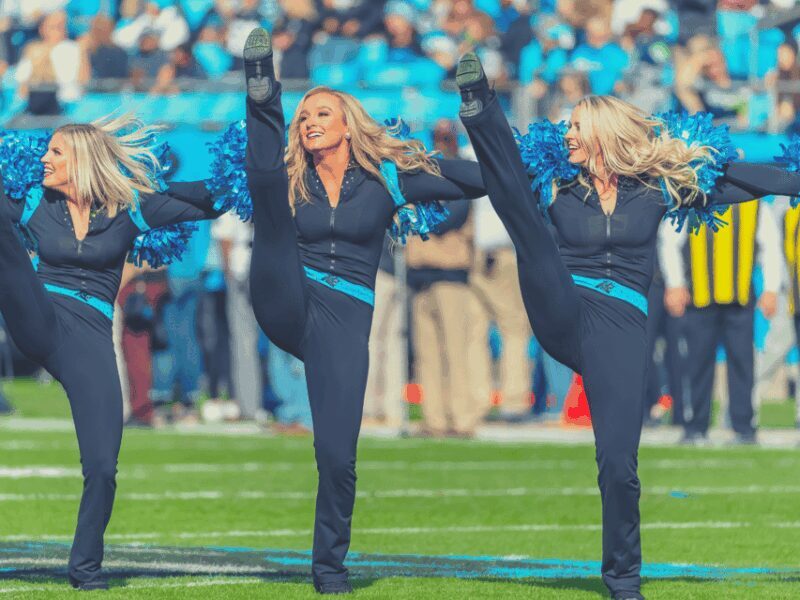 Charlotte: Panthers Football Game at Bank of America Stadium - Authenticity and Value