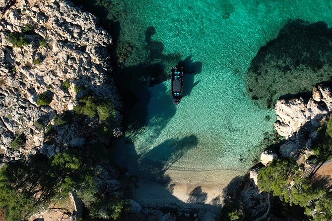 Charter Tour of Palma Bay: Snorkeling and Paddle Surfing - The Sum Up