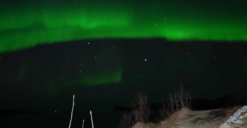 Chase the Magic of the Northern Lights in Tromsø Norway - Starting Point and Overall Experience