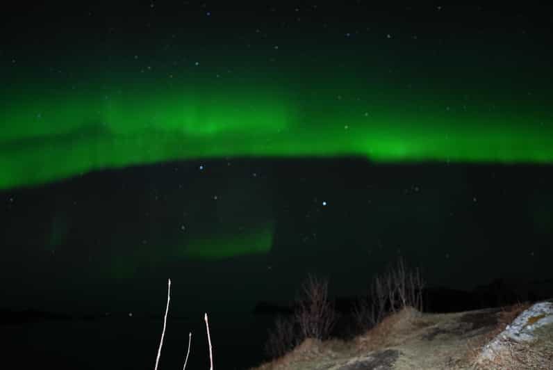 Chase the Magic of the Northern Lights in Tromsø Norway - What You Can Expect During the Tour