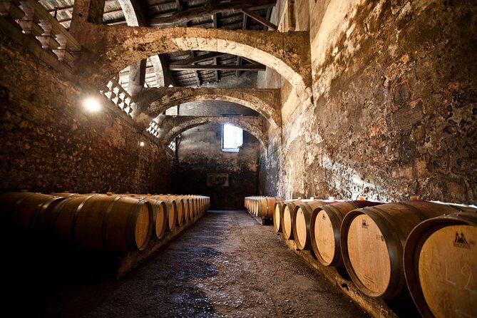 Chateau du Taillan and Park including Wine Tasting Tour - Why This Tour Is Worth Considering