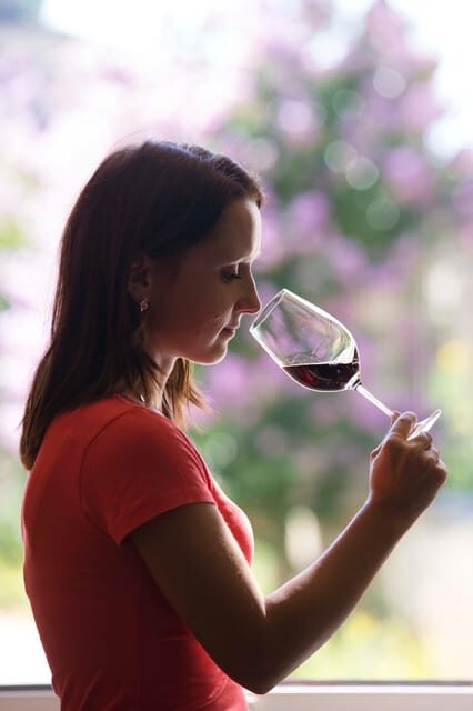 Château Olivier: One Hour Vineyard Tour with Wine Tasting - Who Would Love This Tour?