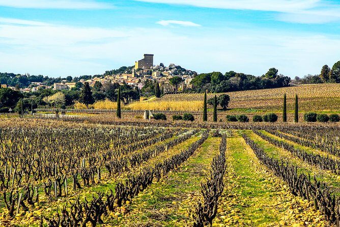 Châteauneuf Du Pape intensive vineyard & fine wine experience - Who Is This Tour Best For?  