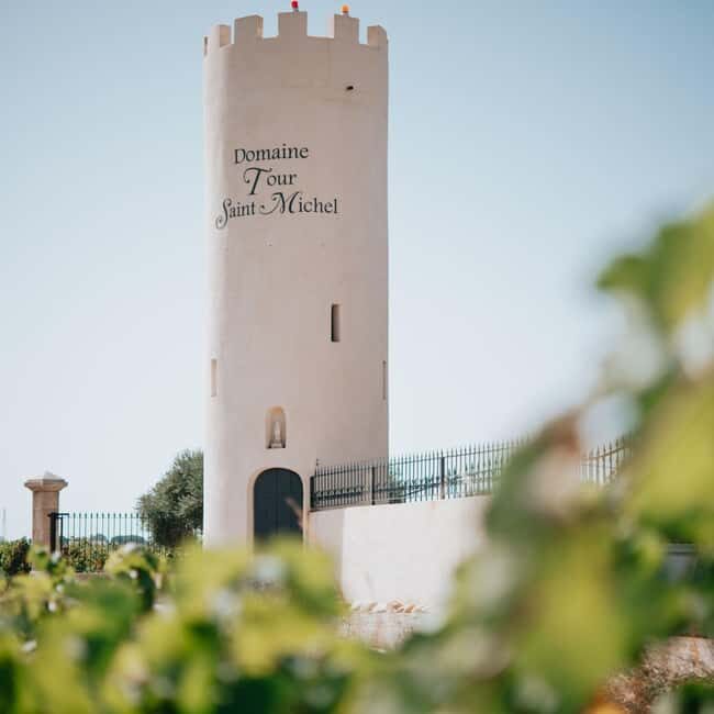 Châteauneuf-du-Pape: tour/tasting in the heart of Domaine Tour St Michel - The Experience in Detail