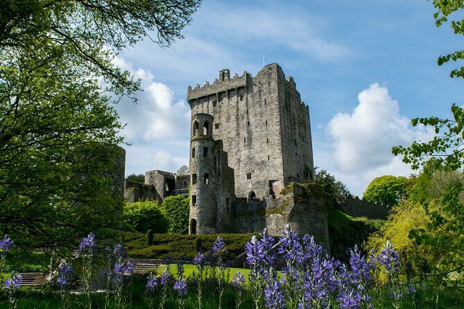 Chauffeur Blarney and Cork Private Day Tour from Dublin - An Overview of the Itinerary